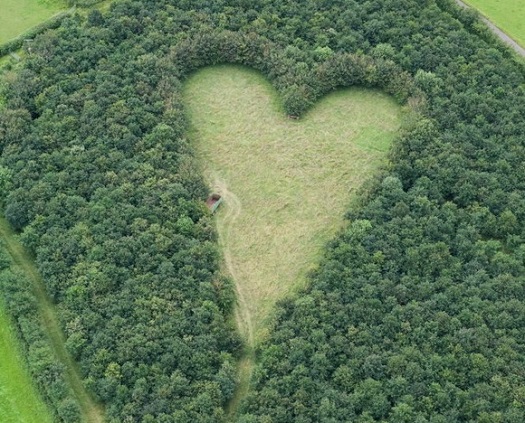 6 unforgettable examples land art (part one) | Tellwut.com