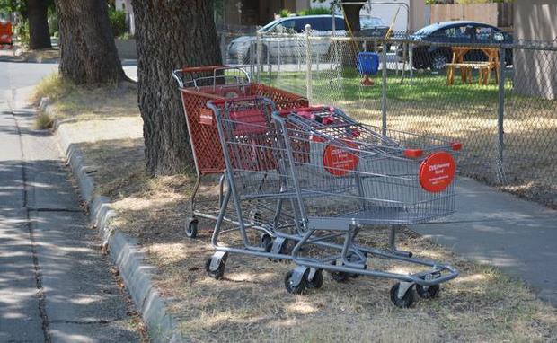 Shopping Cart Anti-Theft Devices | Tellwut.com