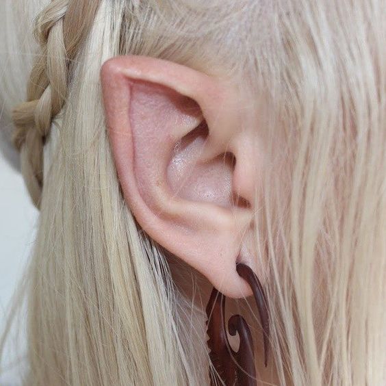 Not For Faint Heart... | Tellwut.com
