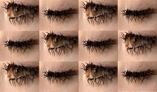 'Fly Leg Eyelashes' --- Creepy Eyelashes Made Fly Legs. | Tellwut.com