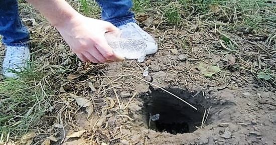 Solid rain | Tellwut.com