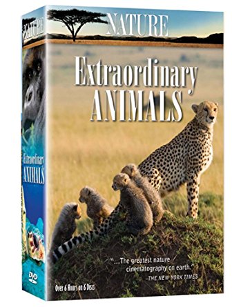 Animal Documentaries | Tellwut.com