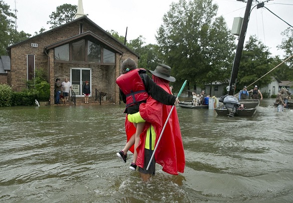 What can you do to help after disaster | Tellwut.com