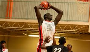 Taco Fall | Tellwut.com