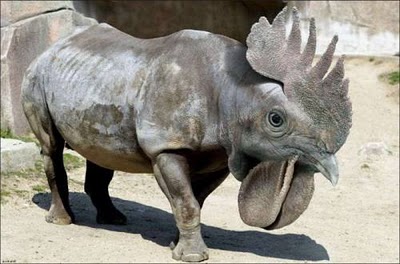 If you could combine two animals to keep as pet, which these would you ...