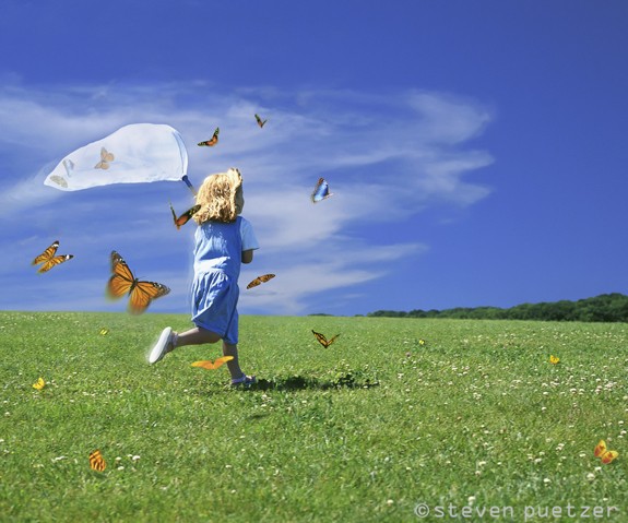 Did you ever try to catch butterflies as kid? | Tellwut.com