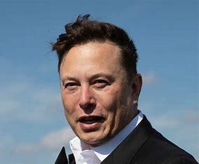 The Elon Musk Effect | Tellwut.com